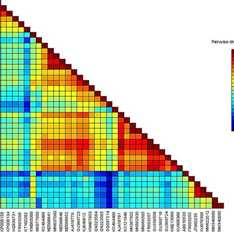 Nucleotide Sequence Similarity Matrix Constructed Based On The Full Download Scientific Diagram