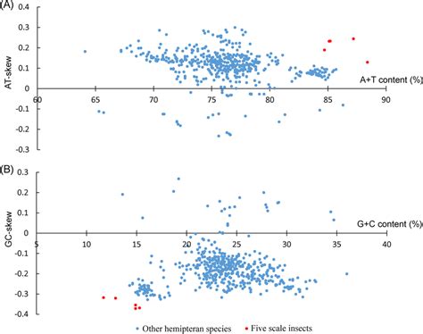 Nucleotide Composition Across Five Scale Insect And Other Hemipteran