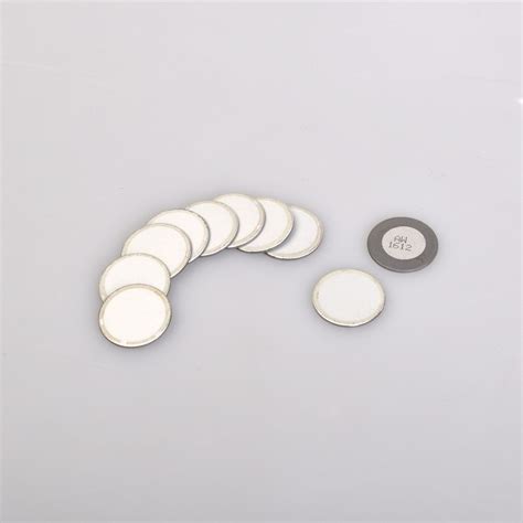 10pcslot Atomizer Parts Humidifier Atomizing Chip Grandado