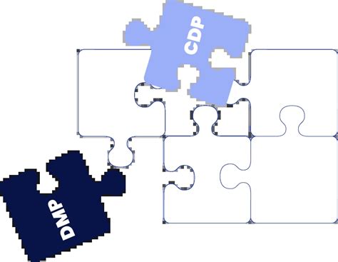 Cdp Vs Dmp Whats The Difference And How To Choose Yespo