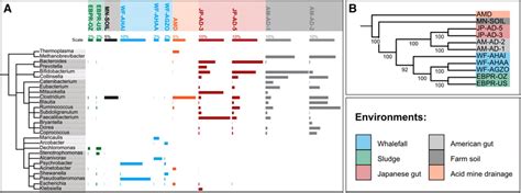 Visual Representation Of Metagenomic Analysis Using Smashcommunity A Download Scientific