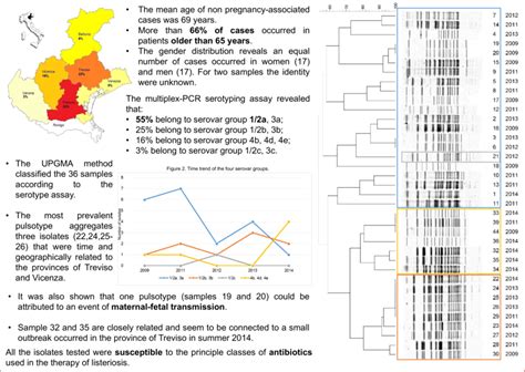 Pfge Profiles Of 36 Human Samples Download Scientific Diagram