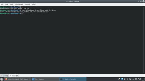 how to run teamspeak linux version teamspeak 3 client teamspeak