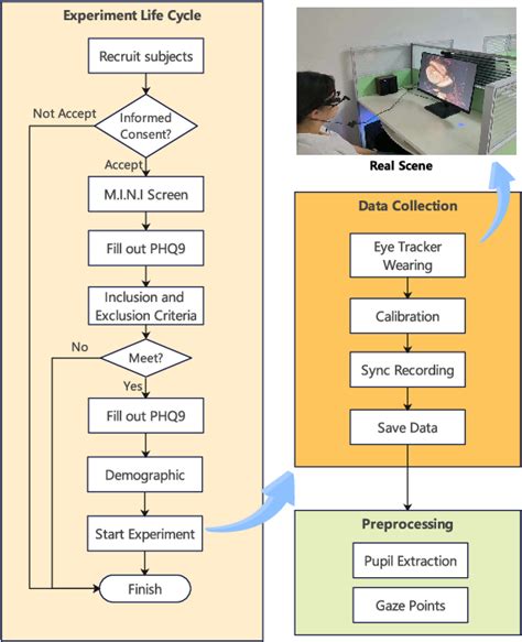 Figure 1 From Clustering Based On Eye Tracking Data For Depression