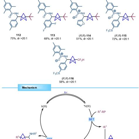 Scheme 21 Diastereoselective Multicomponent Radical Download Scientific Diagram