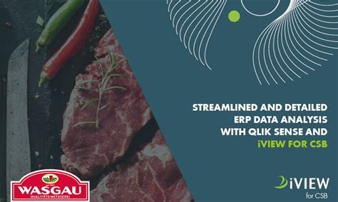 Iview For Csb Enhance Your Business Intelligence