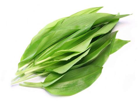 Sremuš Biljne Kapi Ramslin Za Regulisanje Pritiska Holesterola I