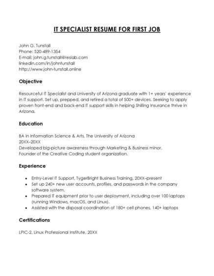 How To Make Your First Job Resume Examples Templates