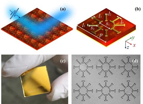 A Schematic Of Structure Of Polarization Sensitive Tunable