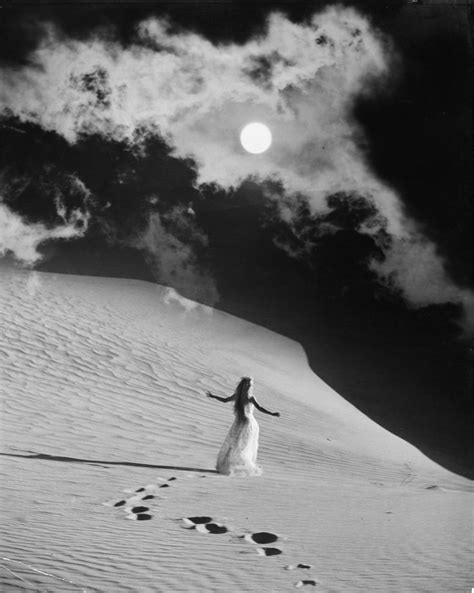 گم شده در کویر