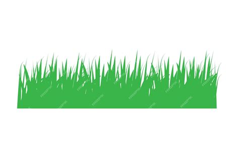 Premium Vector Grass
