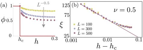 Panel A Shows The Order Parameter φ For A Nonequilibrium Steady State Download Scientific