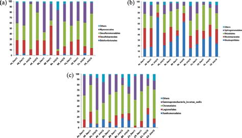 Composition Of Different Classes Based On The Classification Of Partial Download Scientific