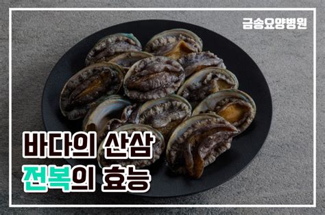 바다의 산삼 전복 효능에 대해 알아봐요 네이버 블로그