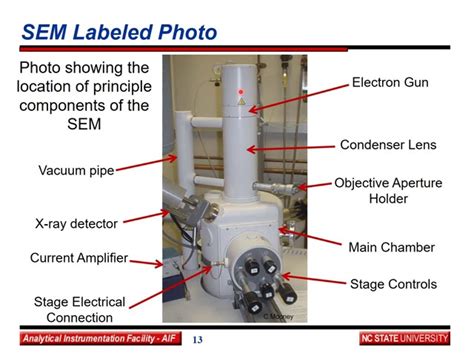 Electron Microscope Diagram Labeled Draw A Well Labelled Diagram Of