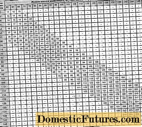 Таблица на теглото на прасета и прасенца как да разберете без везни чрез измервания живо