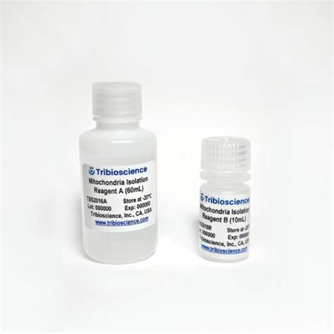 Mitochondrial Isolation From Tissue And Cell The Bio X