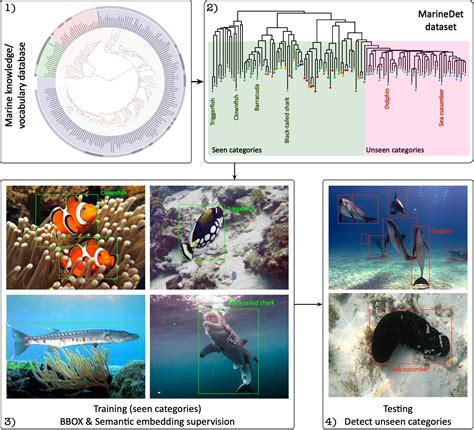 231001931 Marinedet Towards Open Marine Object Detection