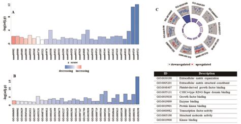the representation of enrichment analysis results of common degs using