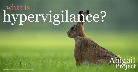 What Is Hypervigilance The Abigail Project