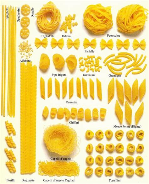 Types Of Pasta Noodles With Pictures At Sophie Clarkson Blog