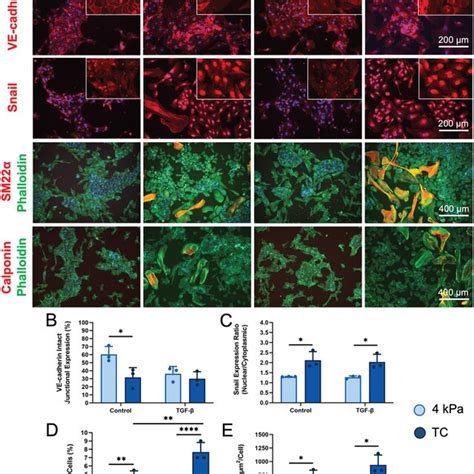 Trajectory Inference Revealed Complex Circulatory Dynamics A Rna Download Scientific Diagram