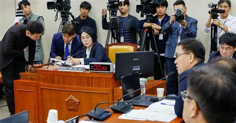 [국감현장] 여 이재명 부인 김혜경 슬기로운 법카생활…과방위 발칵