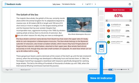 Artificial Intelligence AI Detection In Turnitin Digital Education Support Resources