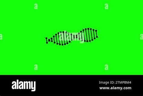 Animation Of Abstract Dna Fragment With Seamless Loop On Black Background Conceptual Design Of
