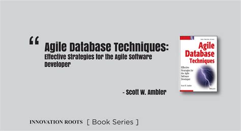 Agile Database Techniques Effective Strategies For The Agile Software Developer Book Series