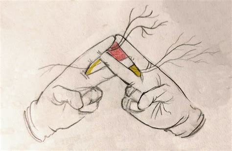 Quadrangular Space Diagram Quizlet