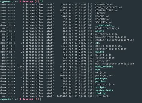 How I Setup My Terminal For Max Productivity