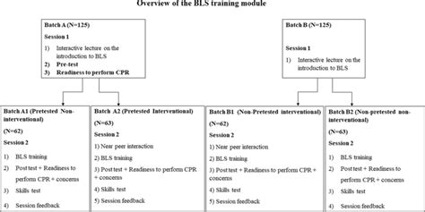 A Schematic Flow Diagram Providing An Overview Of The BLS Training Module Download Scientific