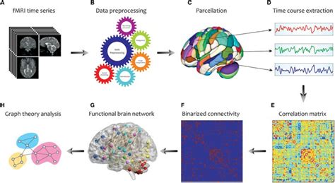 Graph Theory For Identifying Connectivity Patterns In Human Brain Networks Geometry Matters