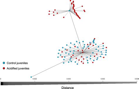 Clustering Based On The Frequency Of Filtered Snps At The Juvenile Download Scientific Diagram