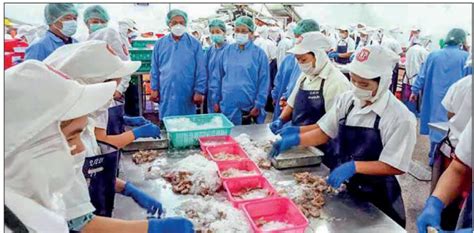 ယခုဘဏ္ဍာနှစ်အတွင်း ပြည်ပသို့ ငါးတင်ပို့မှုမှ ကန်ဒေါ်လာ သန်း ၇၅၀ ရရှိရန် ရည်ရွယ်ထား