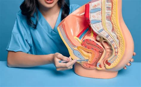 Understanding Cystectomy Surgery And Its Role In Bladder Health