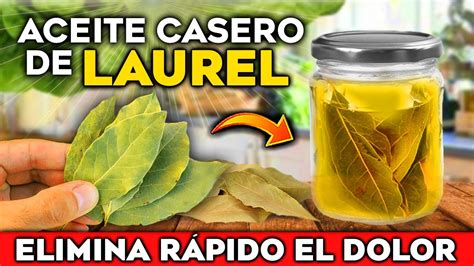 Aceite De Laurel Beneficios Usos Y Propiedades Vida Bio Tu Web Sobre