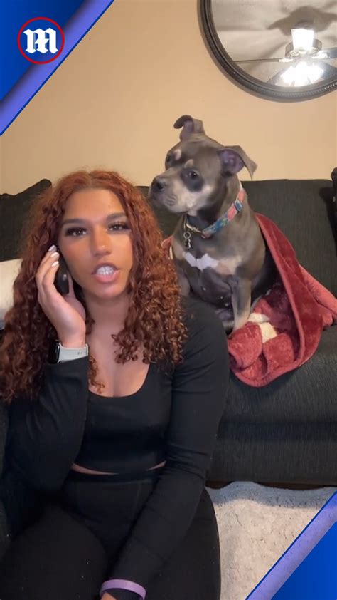 Woman Plays Hilarious Prank On Her Dog Dog Dog Park Woman