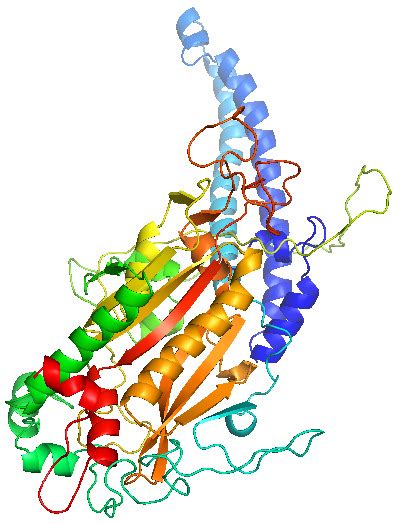 Secondary Structure Prediction Of Target Protein Of P Falciparum 3d7 Download Scientific