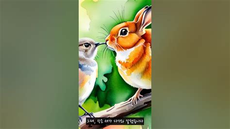 작은토끼와 친구 Youtube