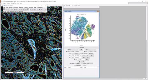 Spatial Analysis Tools To Explore The Tissue Microenvironment The