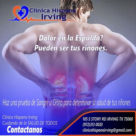 Las Pruebas Renales Se Usan Para Clinica Hispana Irving
