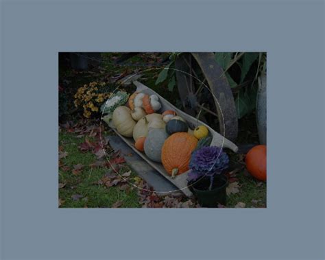 Vtk Vtkimagedata Class Reference