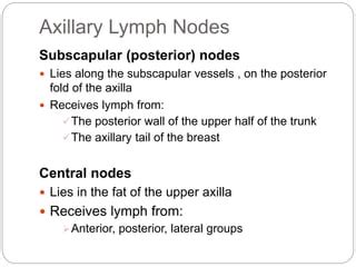 Axillary Lymph Nodespptx