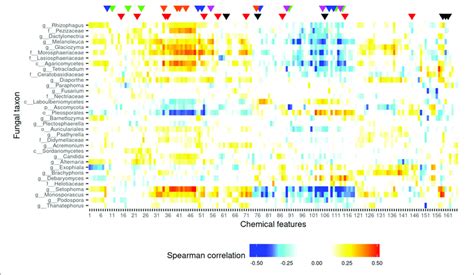 Heatmap Of Spearman Correlation Values Between Logratio Transformed