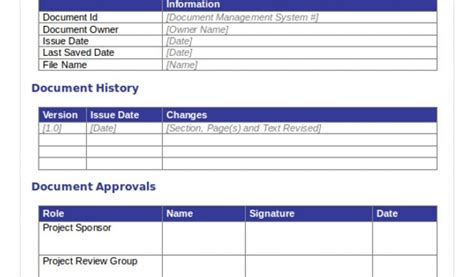 Pmi Business Case Template 20 Project Templates Free Sample Example