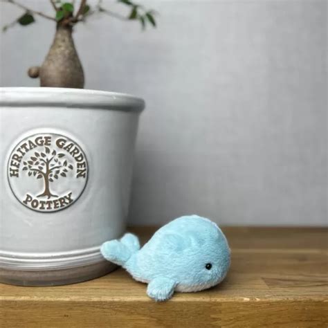 Jellycat Tiny Fluffy Whale Stuffed Toy Tiny Whale Teddy Fluffy