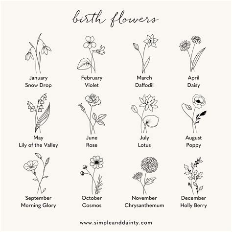 Zodiac Flower Signs And Meanings 60 Photos