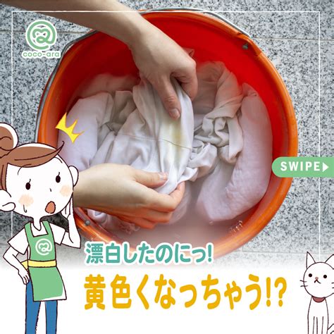 漂白したのに黄色く！？やりがち、漂白の注意点！ こころあらうキレイのおてつだい 宅配クリーニングのココアラ[cocoara]